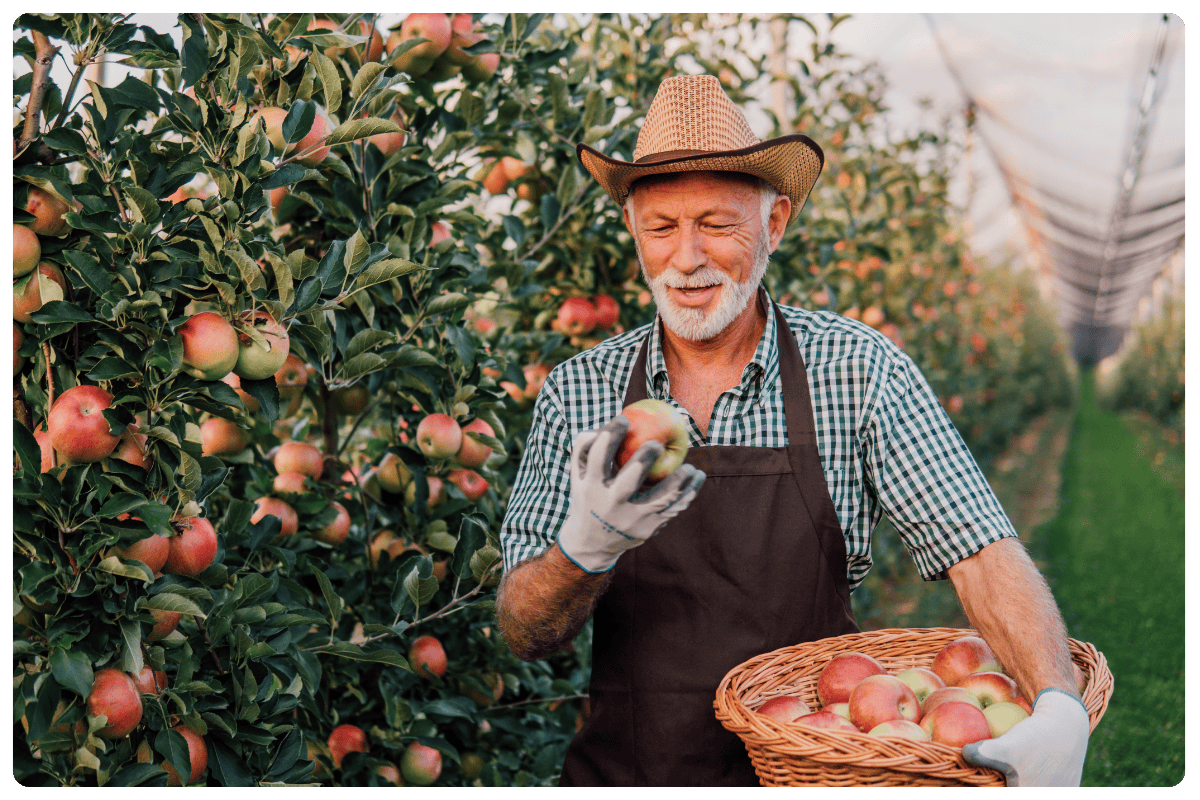 Employee Assistance and Beyond: A Holistic EAP Alternative