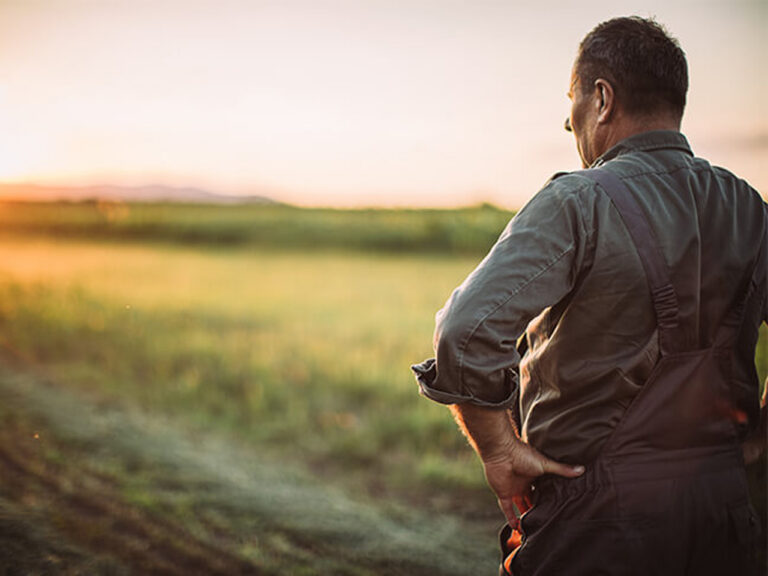 WFI announces new mental health support for farmers with Sonder
